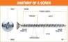 Anatomy of a Screw - S.H.Chooi Fasteners